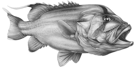 Boat Decals | Fishing Stickers | Fishwreck