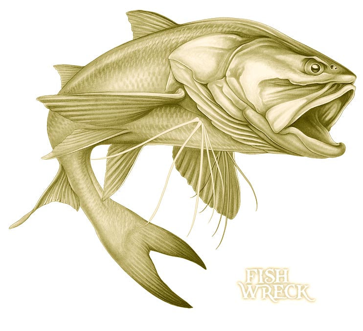 Boat Decals | Fishing Stickers | Fishwreck